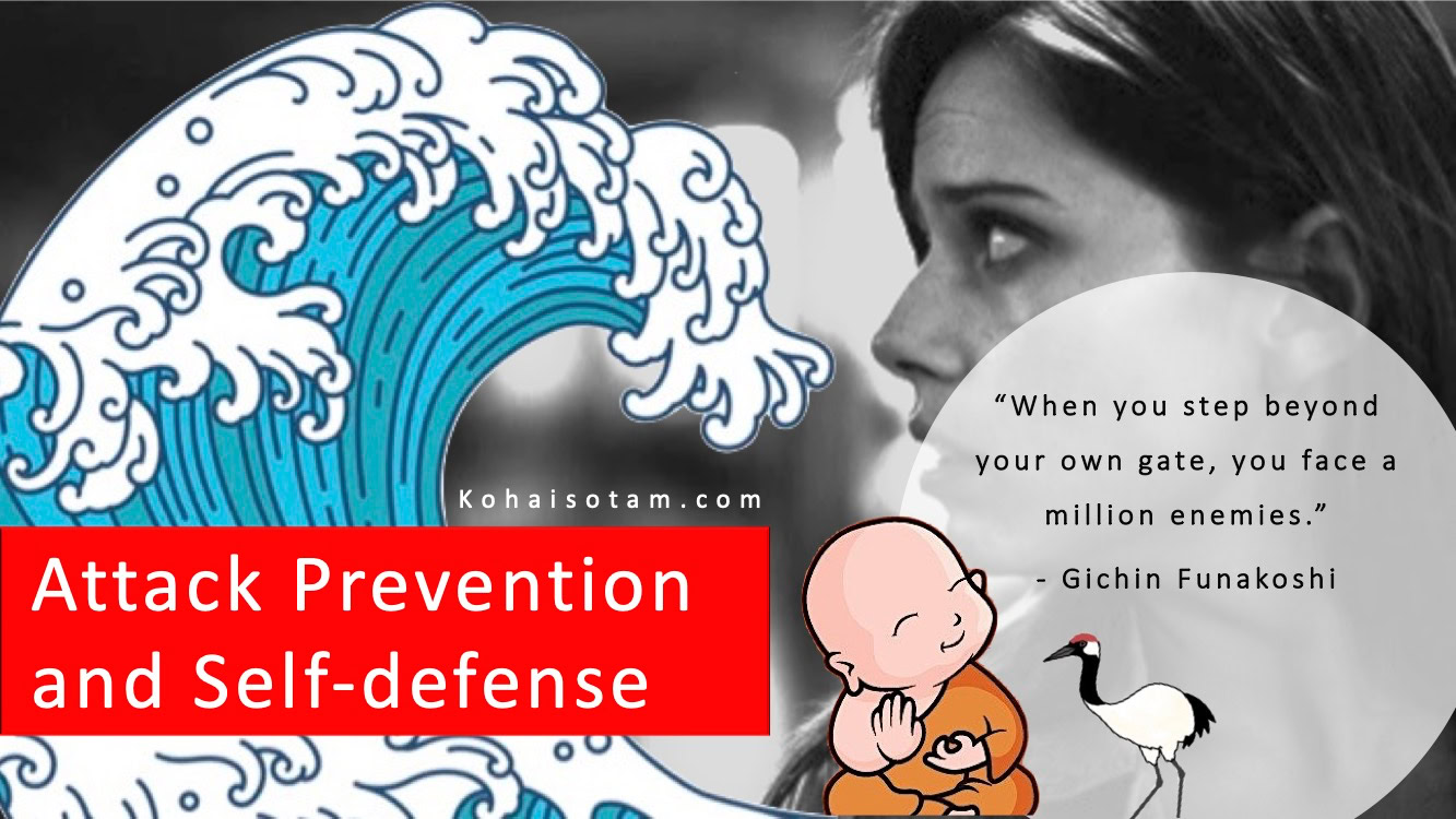 Attack Prevention and Self-defense